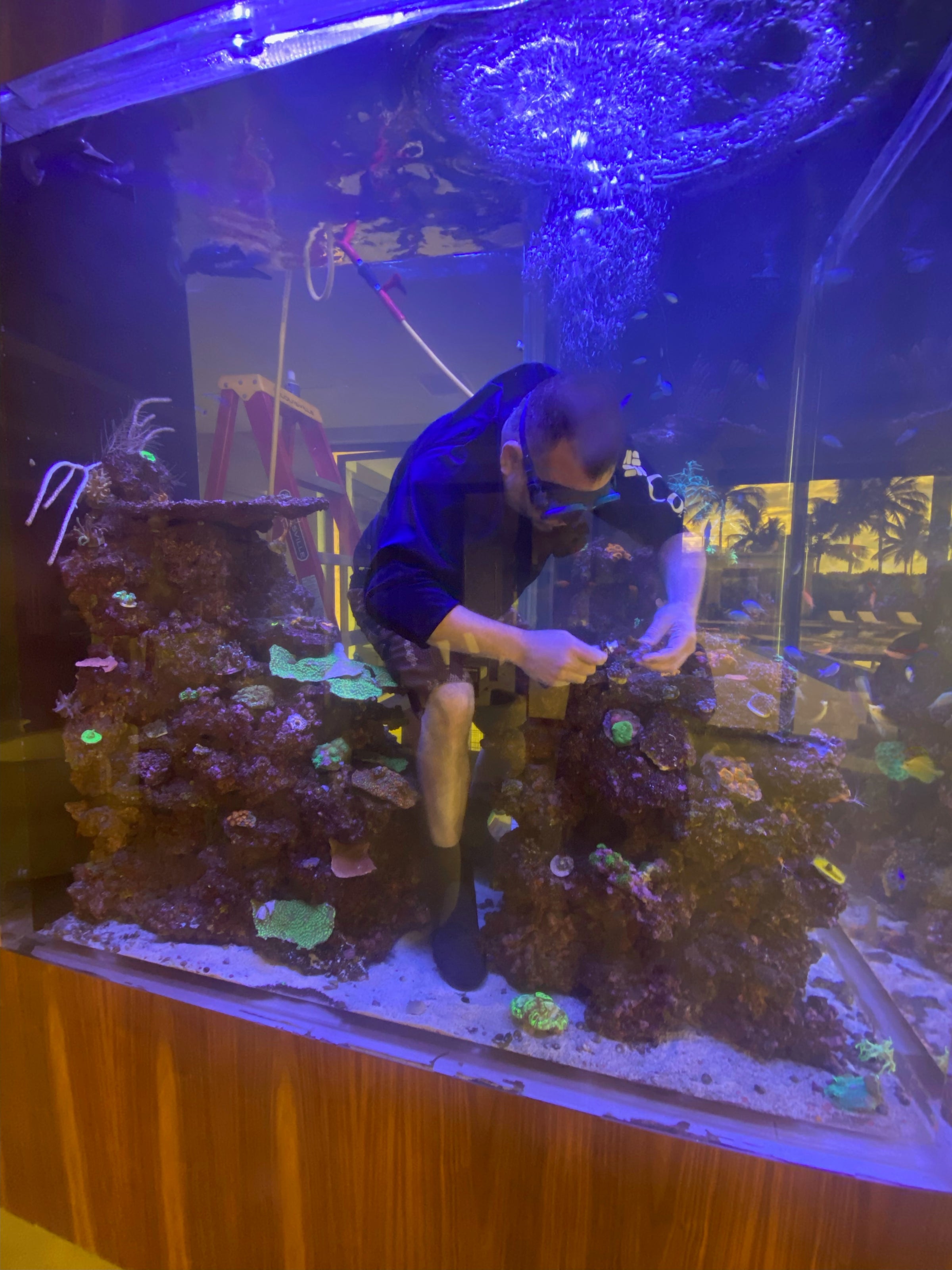 Home | The Fish Store