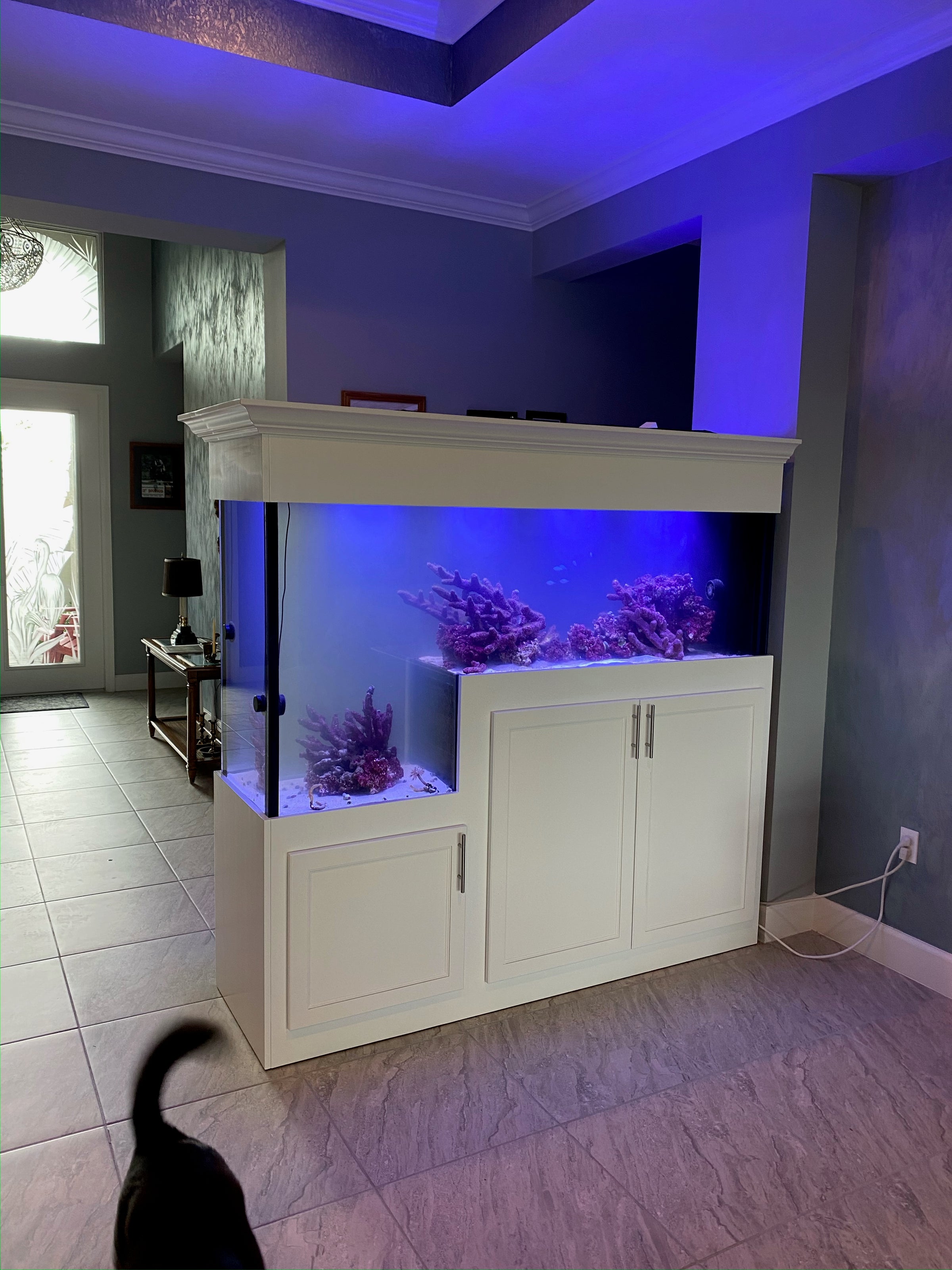 Home | The Fish Store